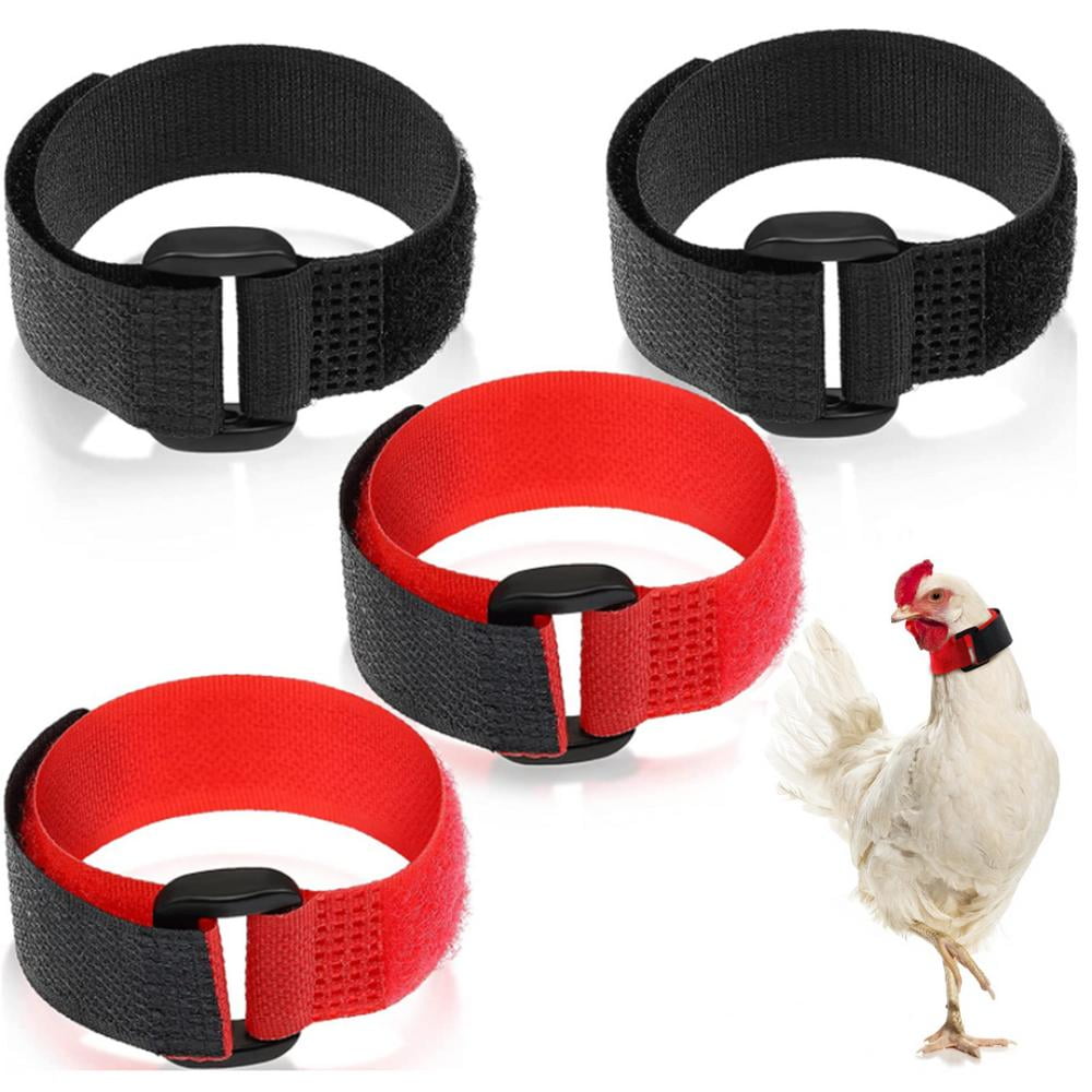 Lona Duck Collar 4pcs Stop Crowing Collars Nylon Dog Collar Prevent ...