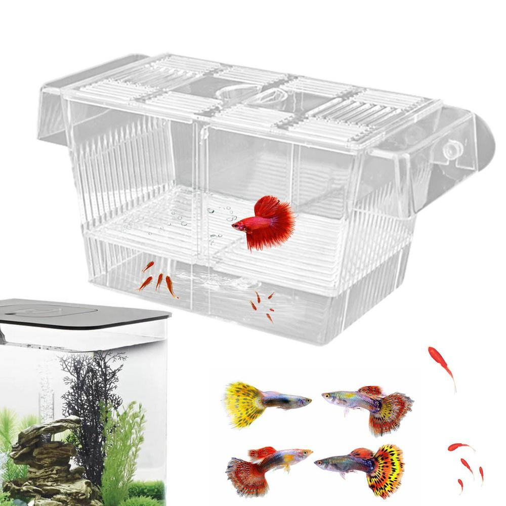 Lona Fish Isolation Box Crystal Acrylic Fish Breeder Box for Aquarium ...