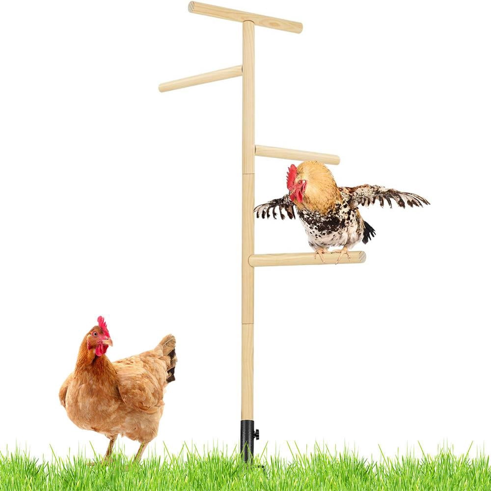 Lona Ground Chicken Perch Poultry Stand Outdoor Perch Toy Playground ...