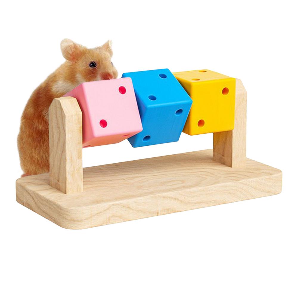 Lona Hamster Wood Blocks Dwarf Hamster Chew Block Bite Safe ...