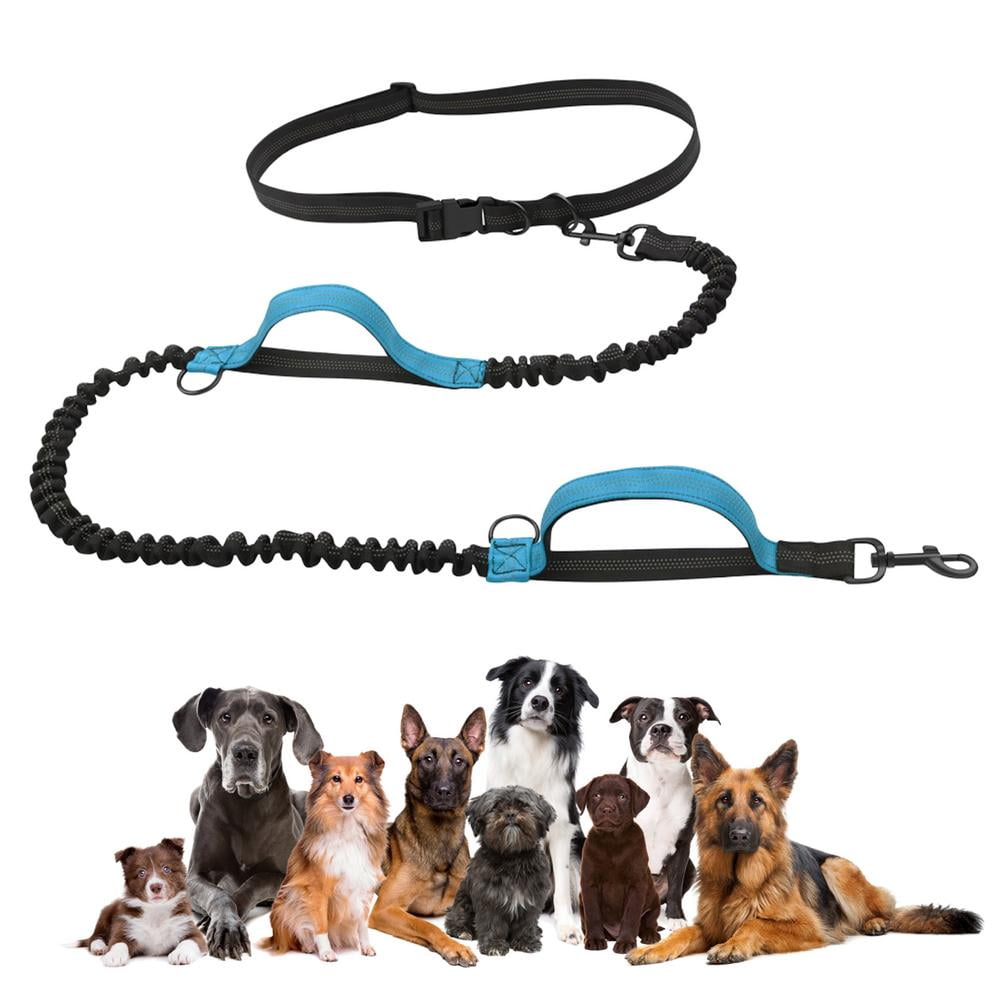 Lona Hands Free Hands Free Dog es Pet For Large Dogs Medium Dogs Dog Walking Accessories ...