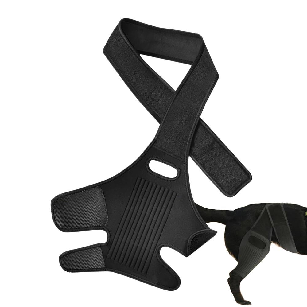 Lona Dog Knee Brace With 10 Support Sticks Breathable Hip Support For ...