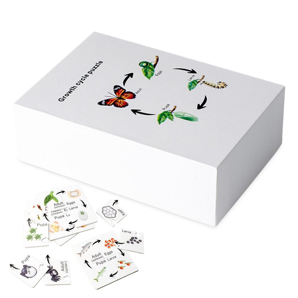 Lona Life Cycle Puzzle Reusable Life Cycle Tray Preschool Science Kit ...
