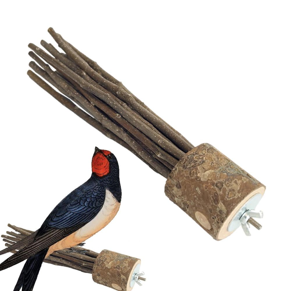Lona Parrot Wood Perch Natural Bird Perches Bird Perch Stand Natural ...