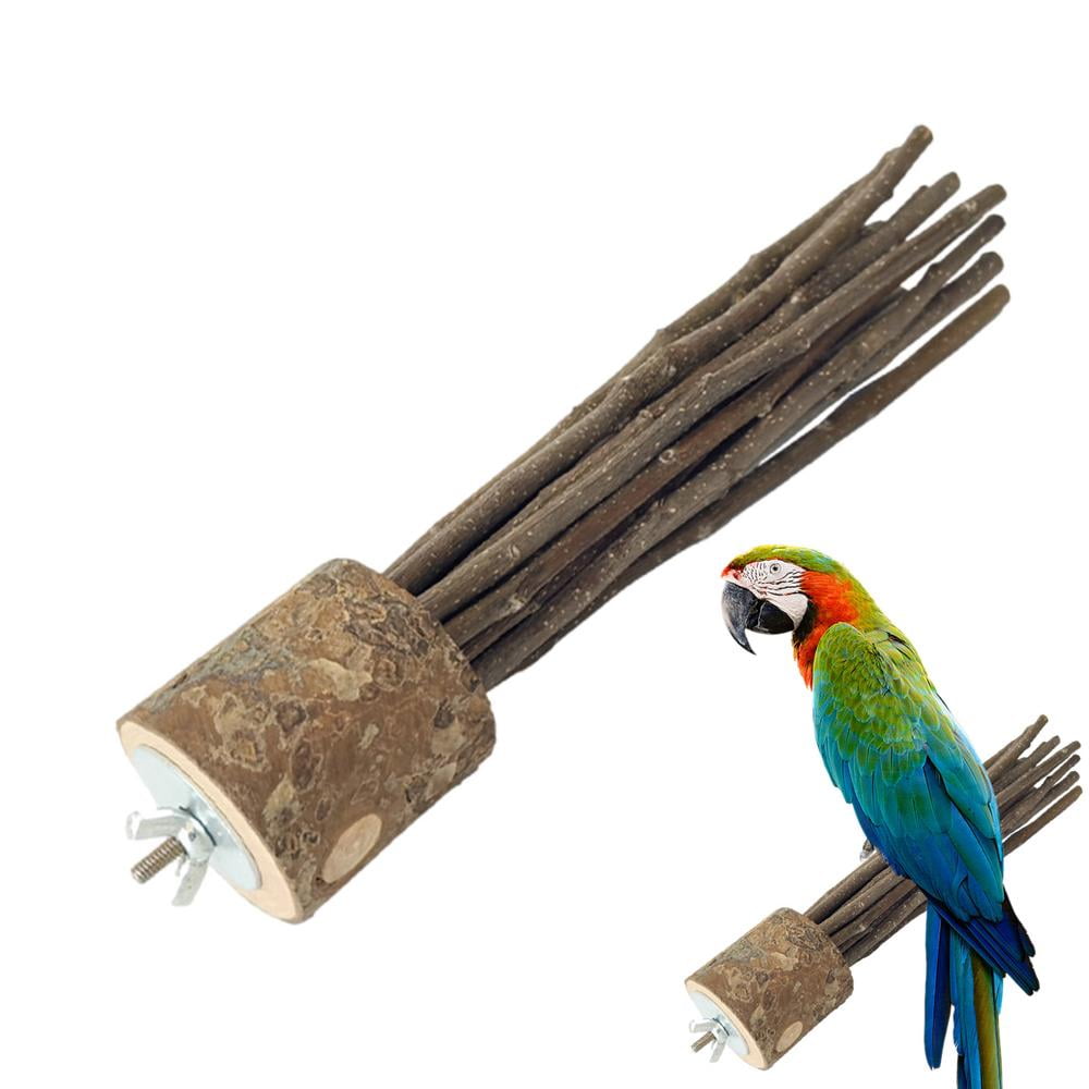 Lona Wood Perches for Parrots Natural Bird Perches Bird Perch Stand ...