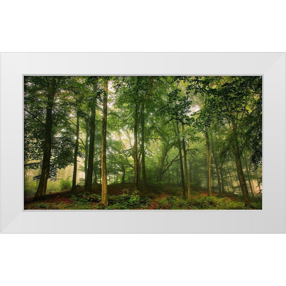 Londal, Leif 18x12 White Modern Wood Framed Museum Art Print Titled ...