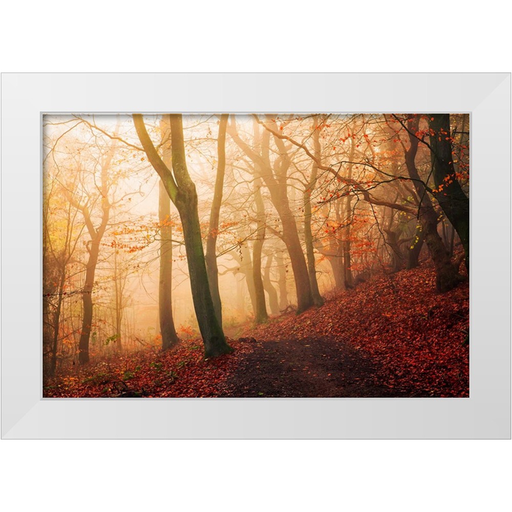 Londal, Leif 32x23 White Modern Wood Framed Museum Art Print Titled ...