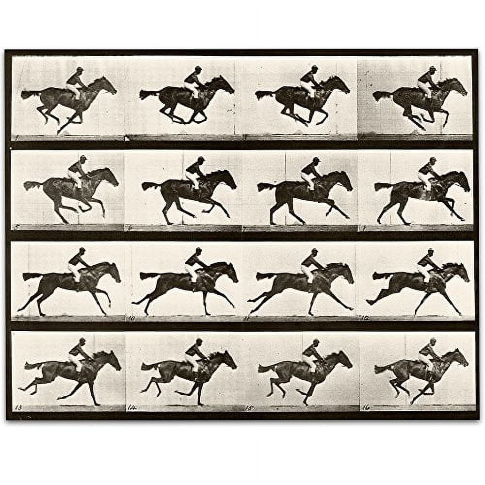 Lone Star Art 1887 Muybridge's Horse Galloping Vintage Print - 11x14 ...