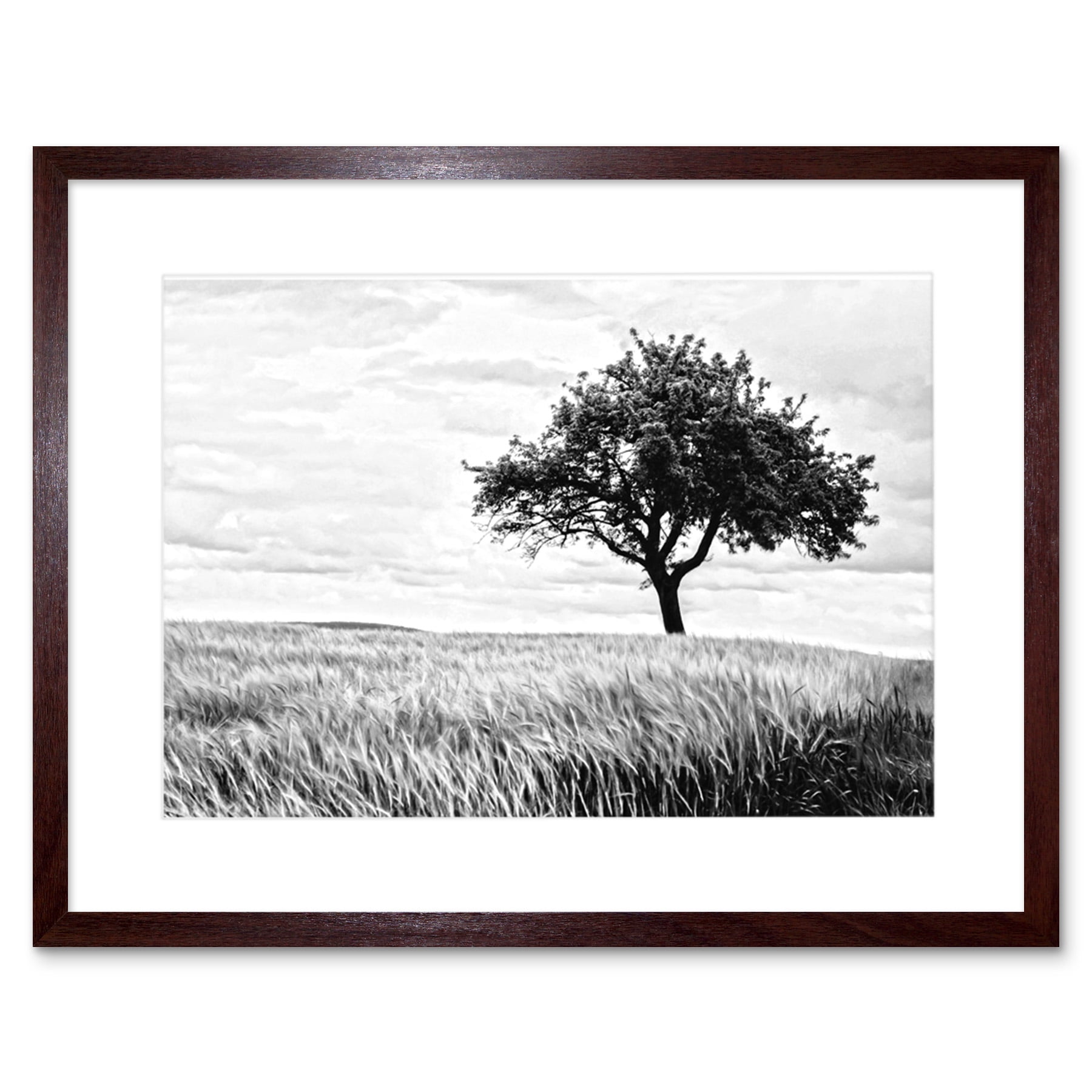 Lone Tree Wheat Field Black White Framed Wall Art Print - Walmart.com