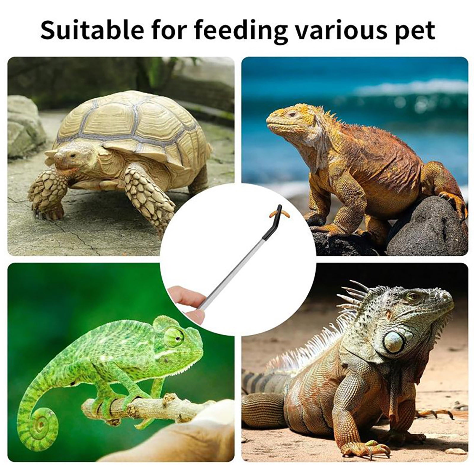 Long Aquarium Tweezers - 10.6" Straight and Curved Tweezers, Stainless ...