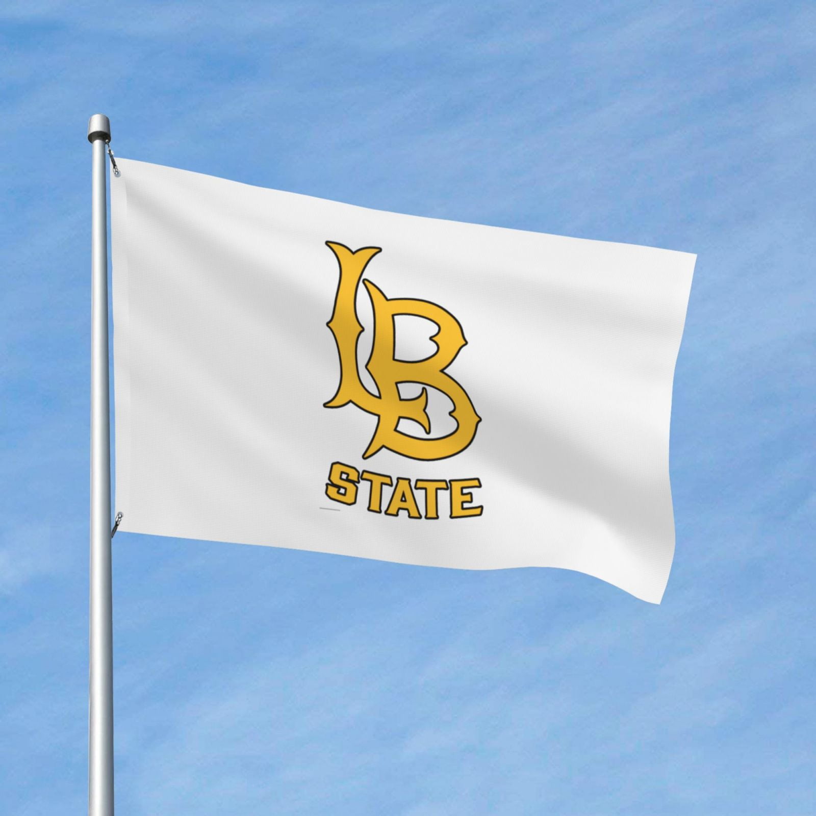 Long Beach State University Banner 3x5 Ft Flag,Double Sided Printed ...