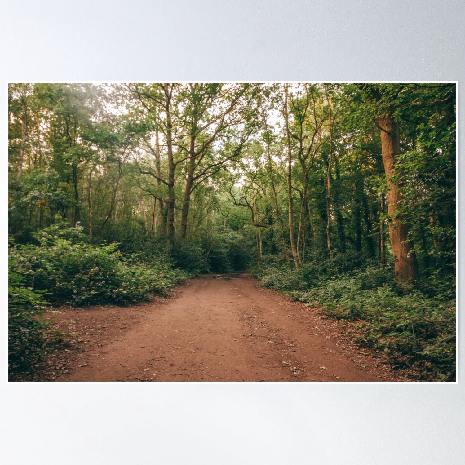 Long Forest Walk Six Forest Road Trip Poster Wall Art, Modern Wall ...