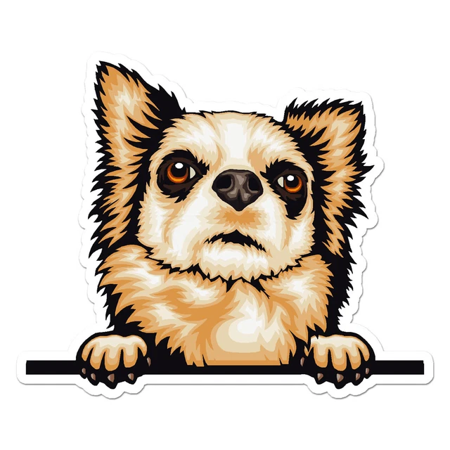 Long Haired Chihuahua Sticker Phone Decal Water Bottle Stickers Car ...