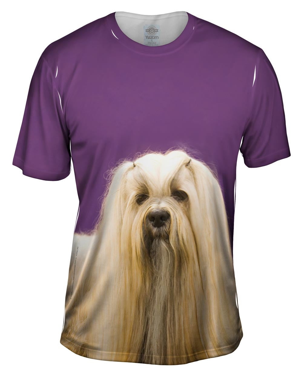 Long Haired Maltese Beauty Mens T-Shirt All Over Print - Walmart.com