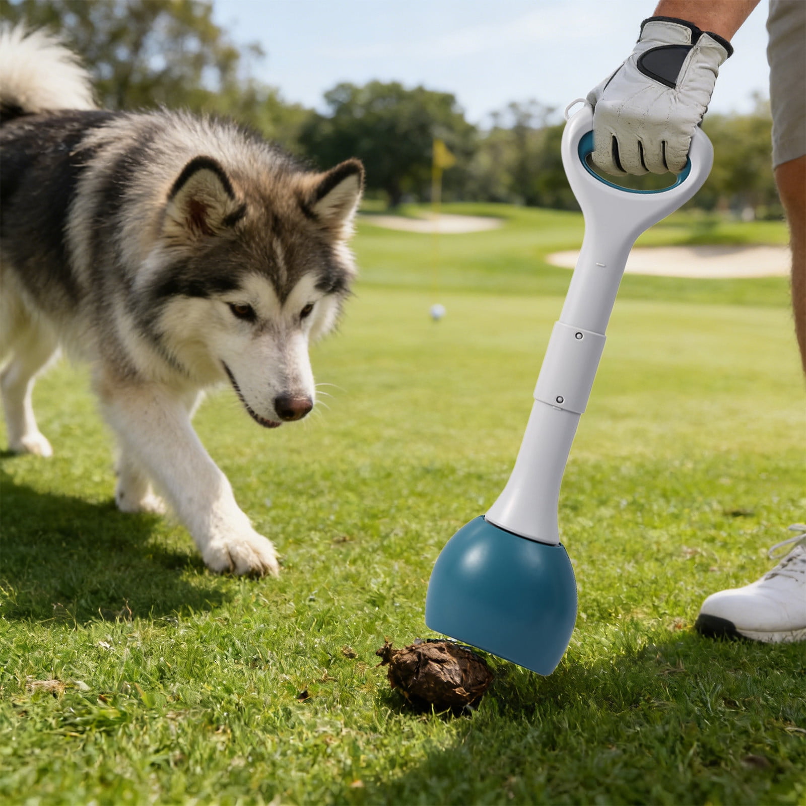 Long Handle Dog Poop Picker, Non Stick Pet Waste Scooper for Backyard ...
