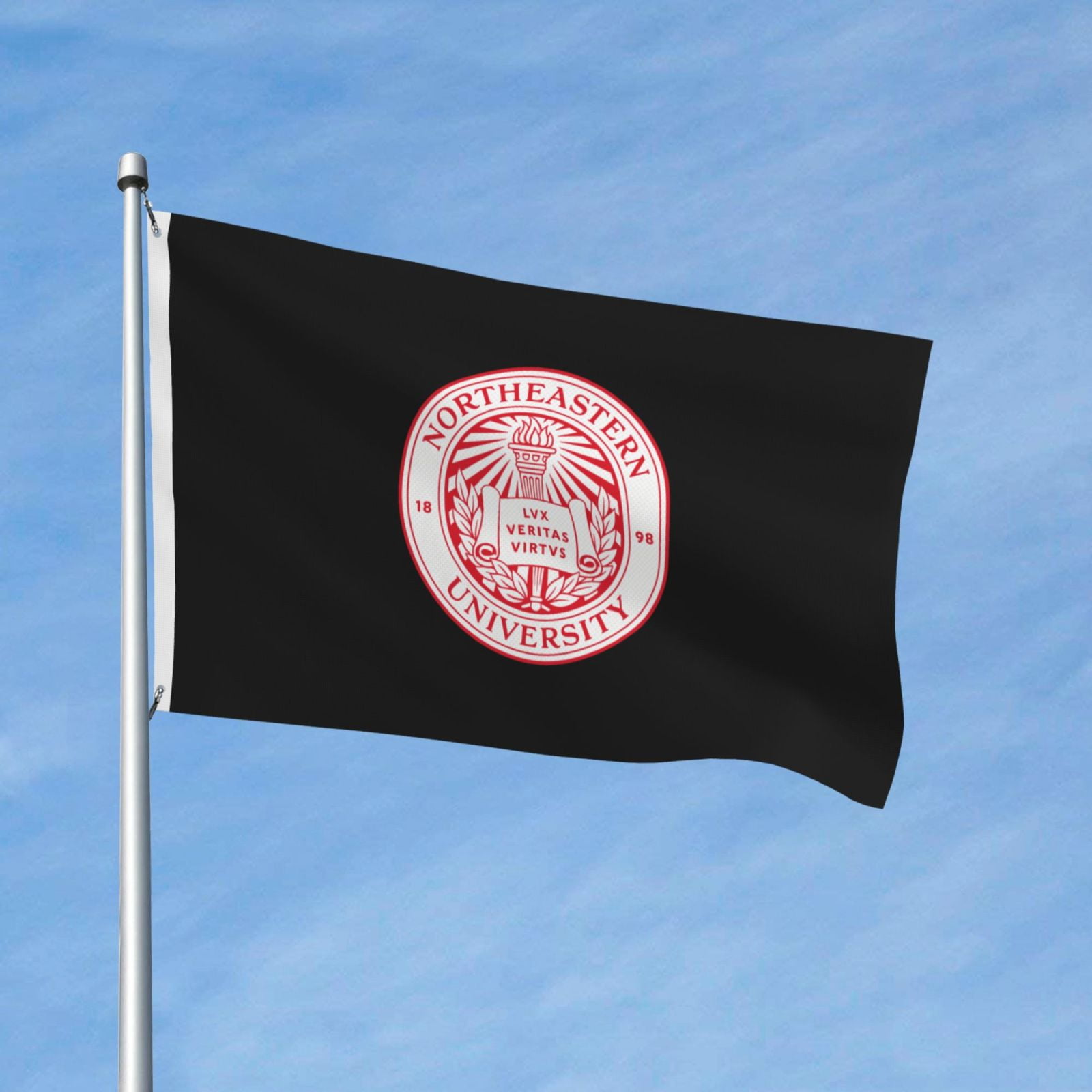 Long Island University Logo Flag 3x5 Ft Holiday Banner Garden Yard House Flags - Walmart.com