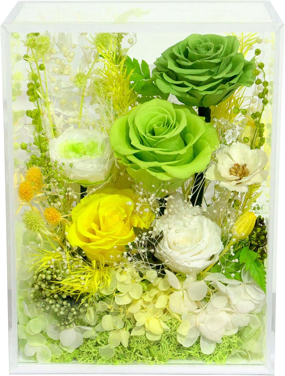 Long-Lasting Real Flowers, Handcrafted Preserved Rose Bush For you to ...