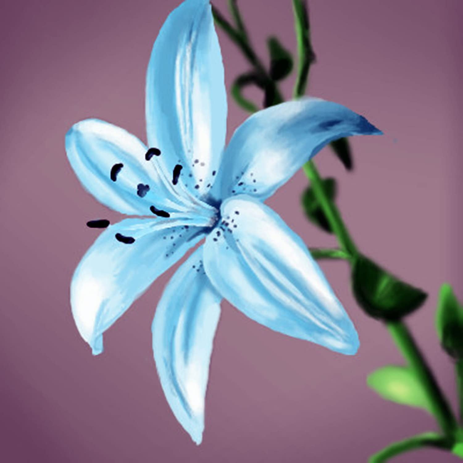 Long Lasting, Rich Colors, Perennial lily , Garden (Lilies) - Walmart.com