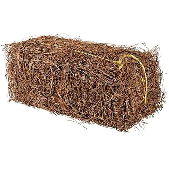 Pine Straw in Mulch - Walmart.com