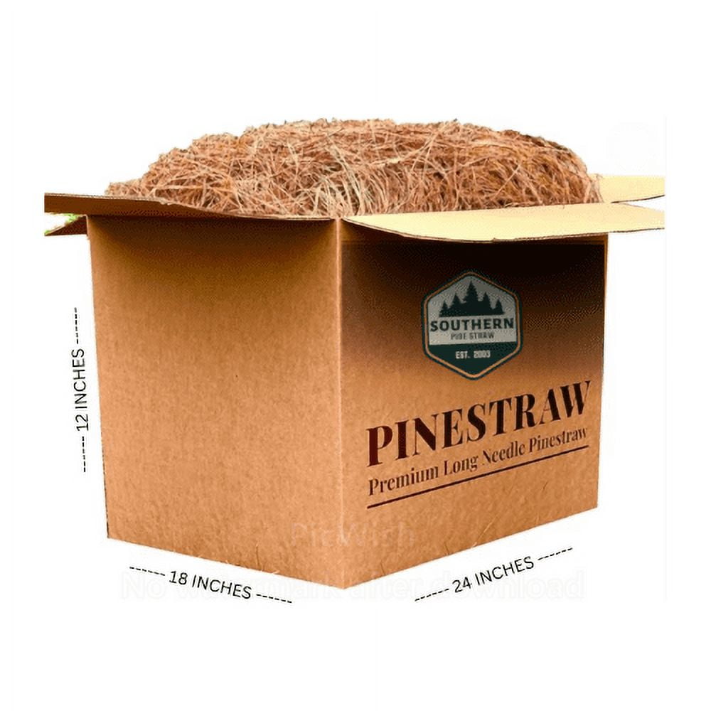 Long Needle Pine Straw - Pine Needle Mulch - (5 Count) Covers up to 500 ...