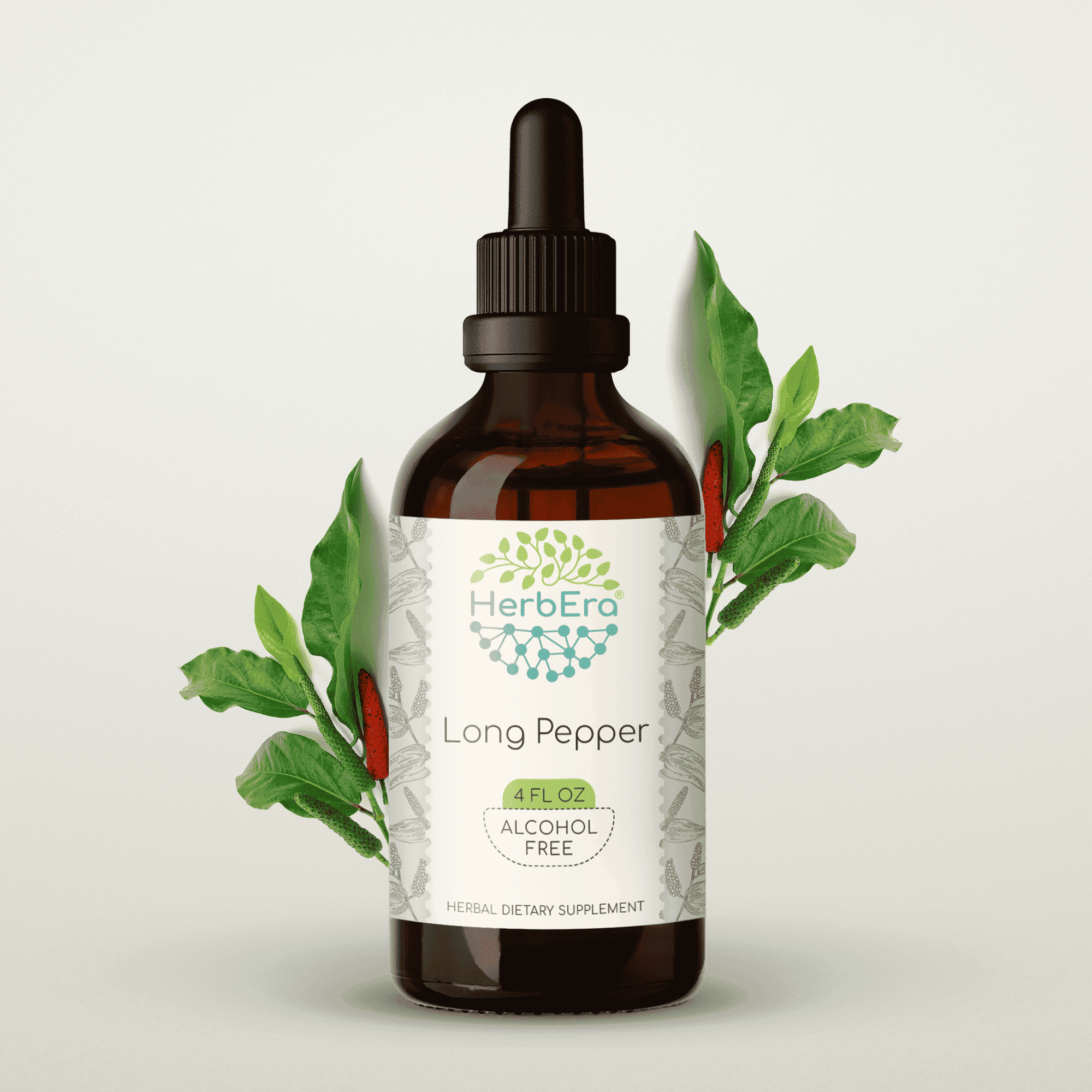 HerbEra Long Pepper Tincture, Herbal Dietary Supplement for Digestive ...