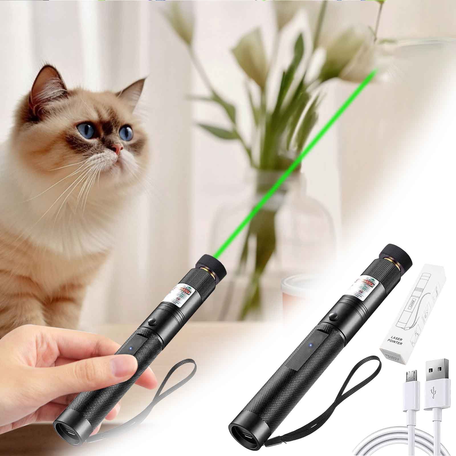 Long Range Green Line Pointer Beam with USB Charging, Rechargeable ...