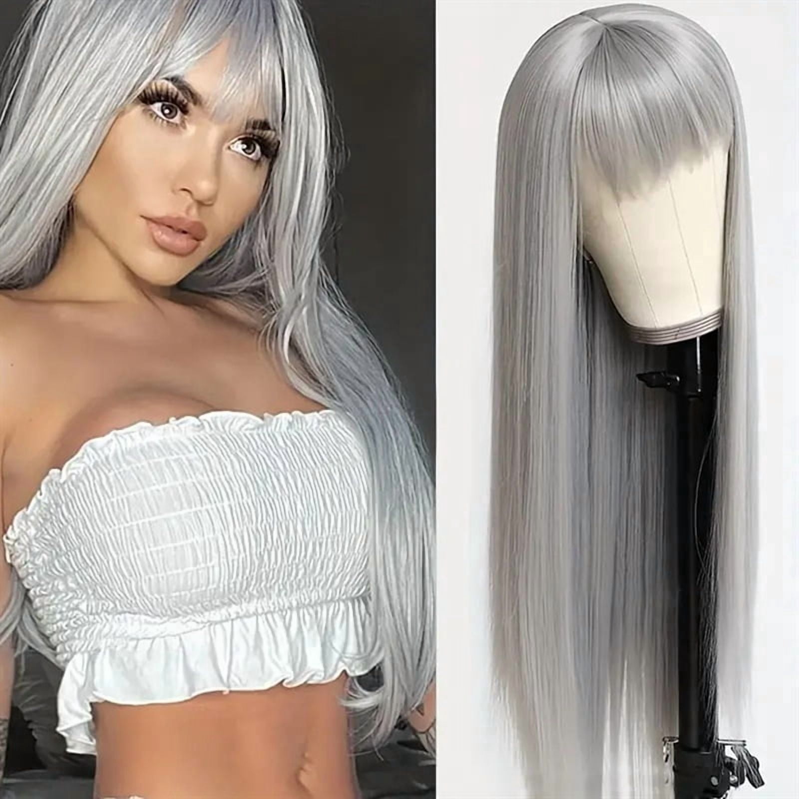 Long Straight Wig with Front Layers Natural Synthetic Hair for Women ...