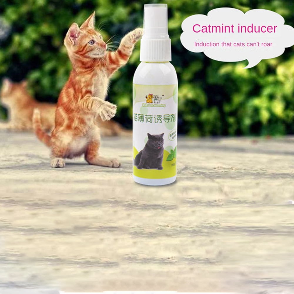 Longday Cat Catnip Spray Healthy Ingredients Catnip Spray For Kittens & Cats & Attractant Easy ...