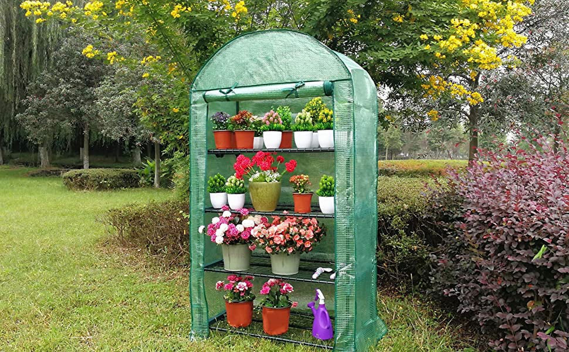 Longer 35x19.6x66.5in 4 Tier Wider Portable Plant Mini Greenhouse Green ...