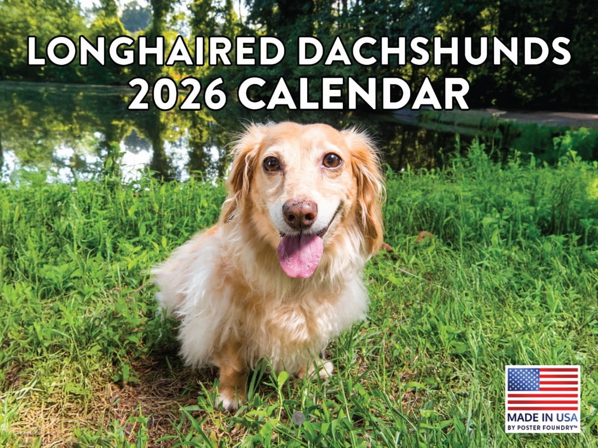Long Haired Dachshund Calendar 2026 Longhaired Monthly Wall Calender 12 ...