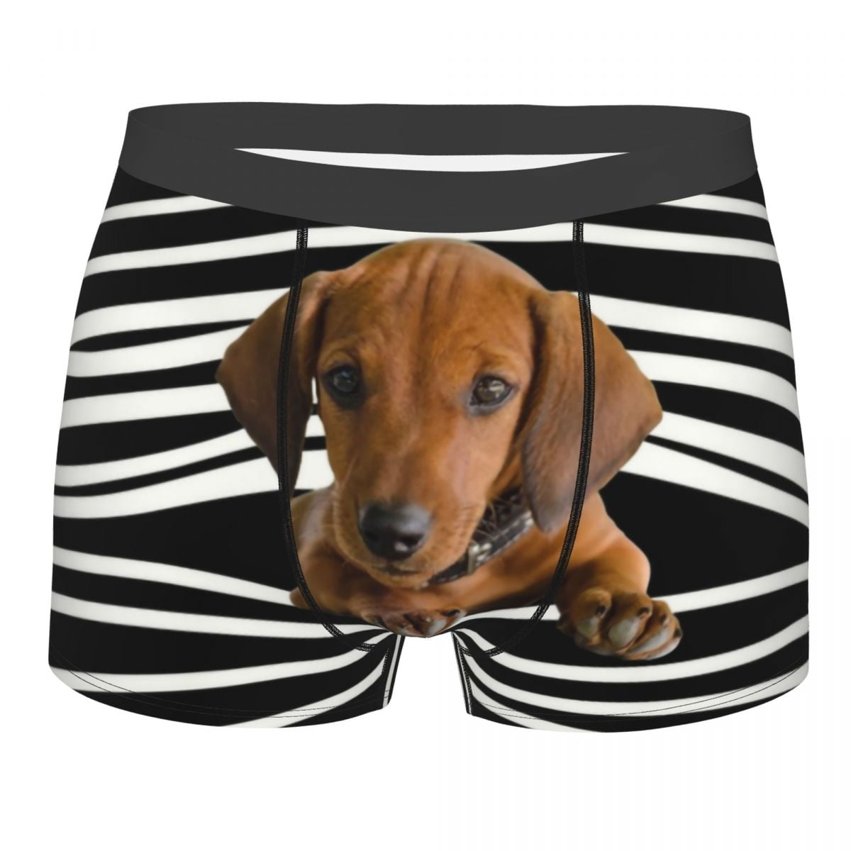Longhaired Dachshund Dog Boxer Shorts For Homme 3D Printed Male Badger ...