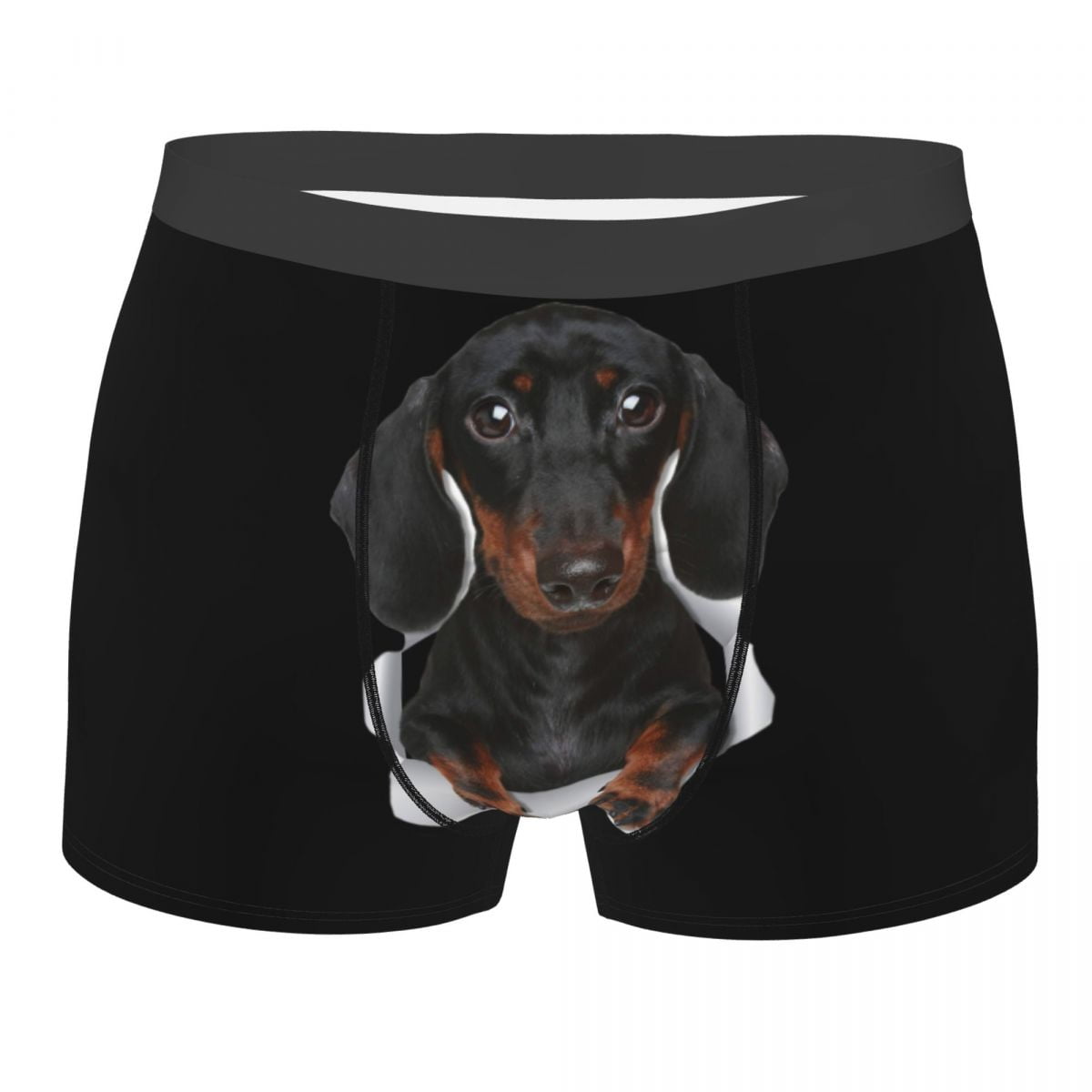 Longhaired Dachshund Dog Boxer Shorts For Homme 3D Printed Male Badger ...
