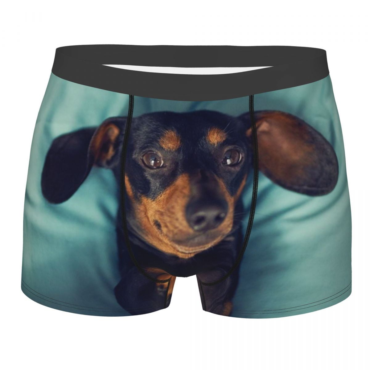 Longhaired Dachshund Dog Boxer Shorts For Homme 3D Printed Male Badger ...
