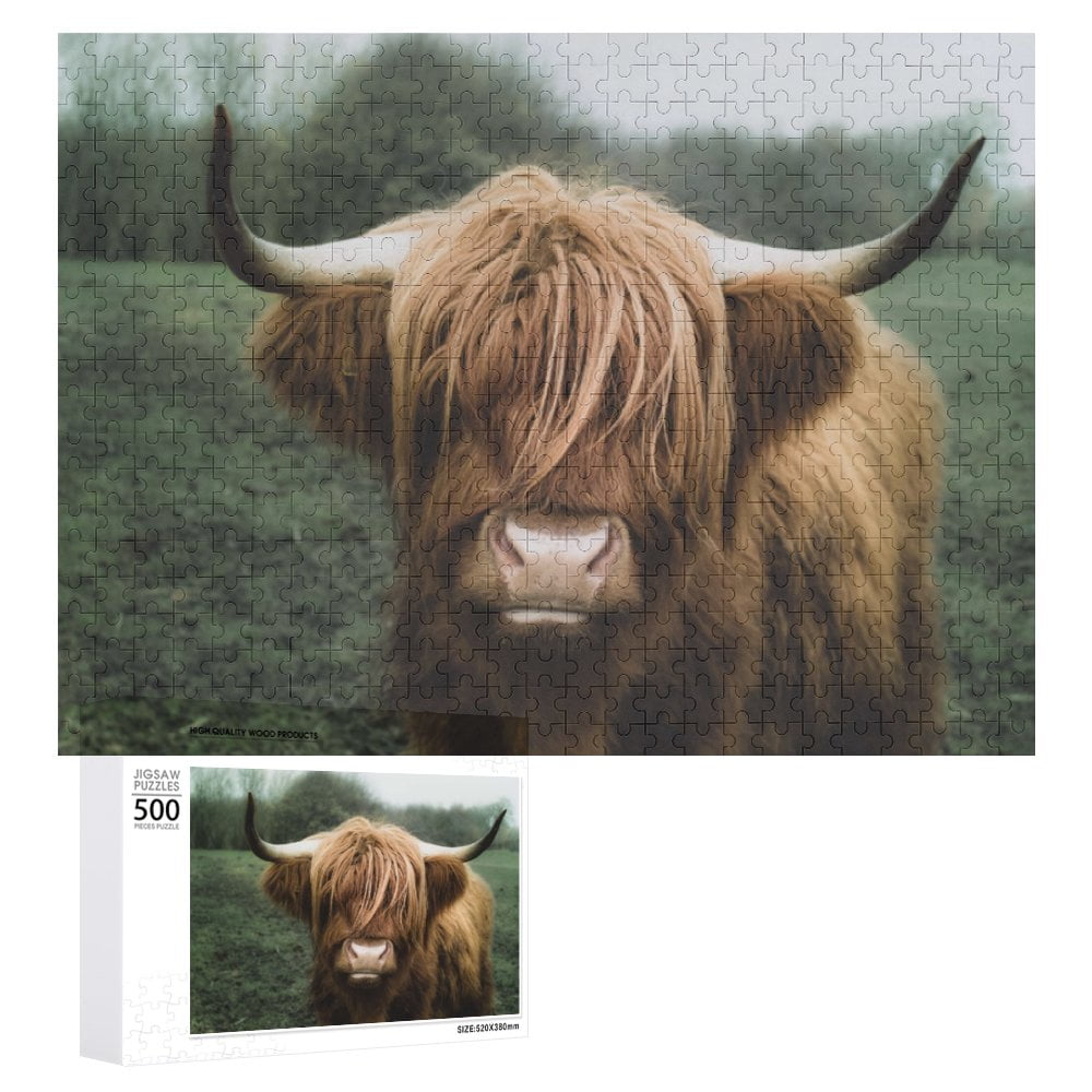 Longhorn Cow From Denmark Eating Grass Jigsaw Puzzles 500 Pieces for ...