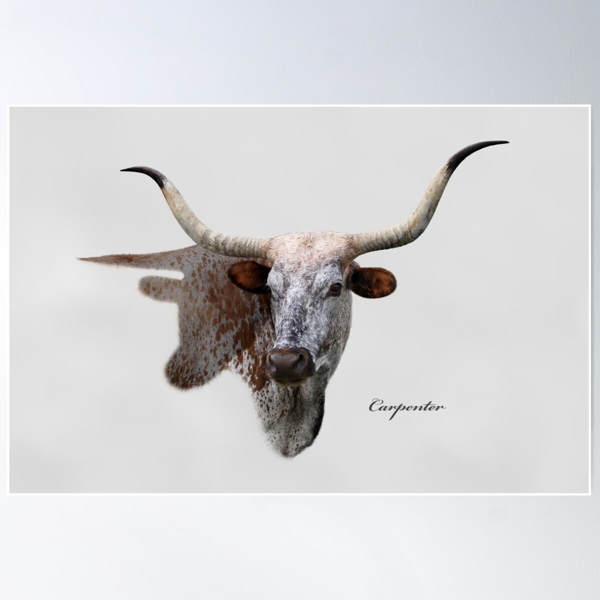 Longhorn Cow With Shadow Poster Wall Art, Modern Wall Decor For Living ...