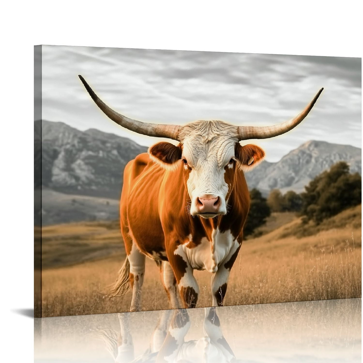 Longhorn Wall Art Country Western Cow Cattle Pictures Wall Decor ...