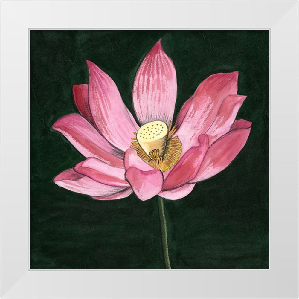 Longley, Alicia 20x20 White Modern Wood Framed Museum Art Print Titled ...