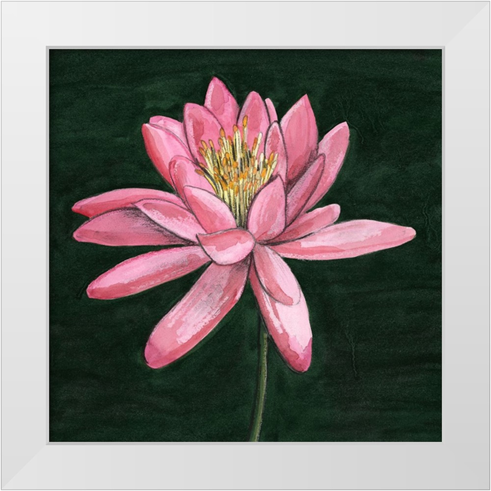 Longley, Alicia 20x20 White Modern Wood Framed Museum Art Print Titled ...