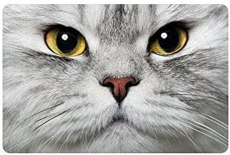 Lonkogqi Welcome Door Mats Cute Cat Face Doormat Welcome Mat Home Decor ...