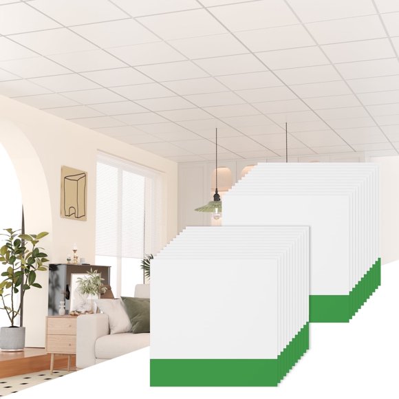 2x4 Ceiling Tiles