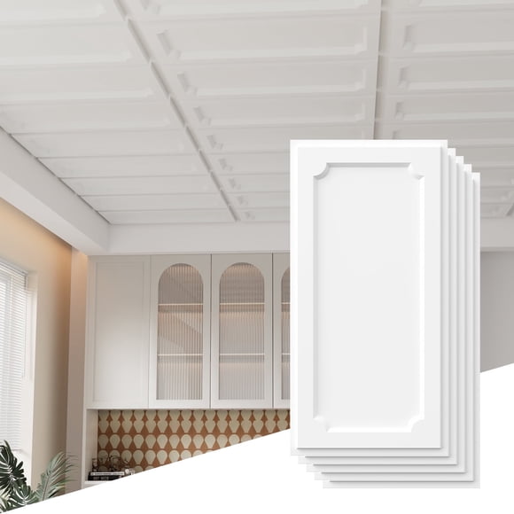2x4 Ceiling Tiles