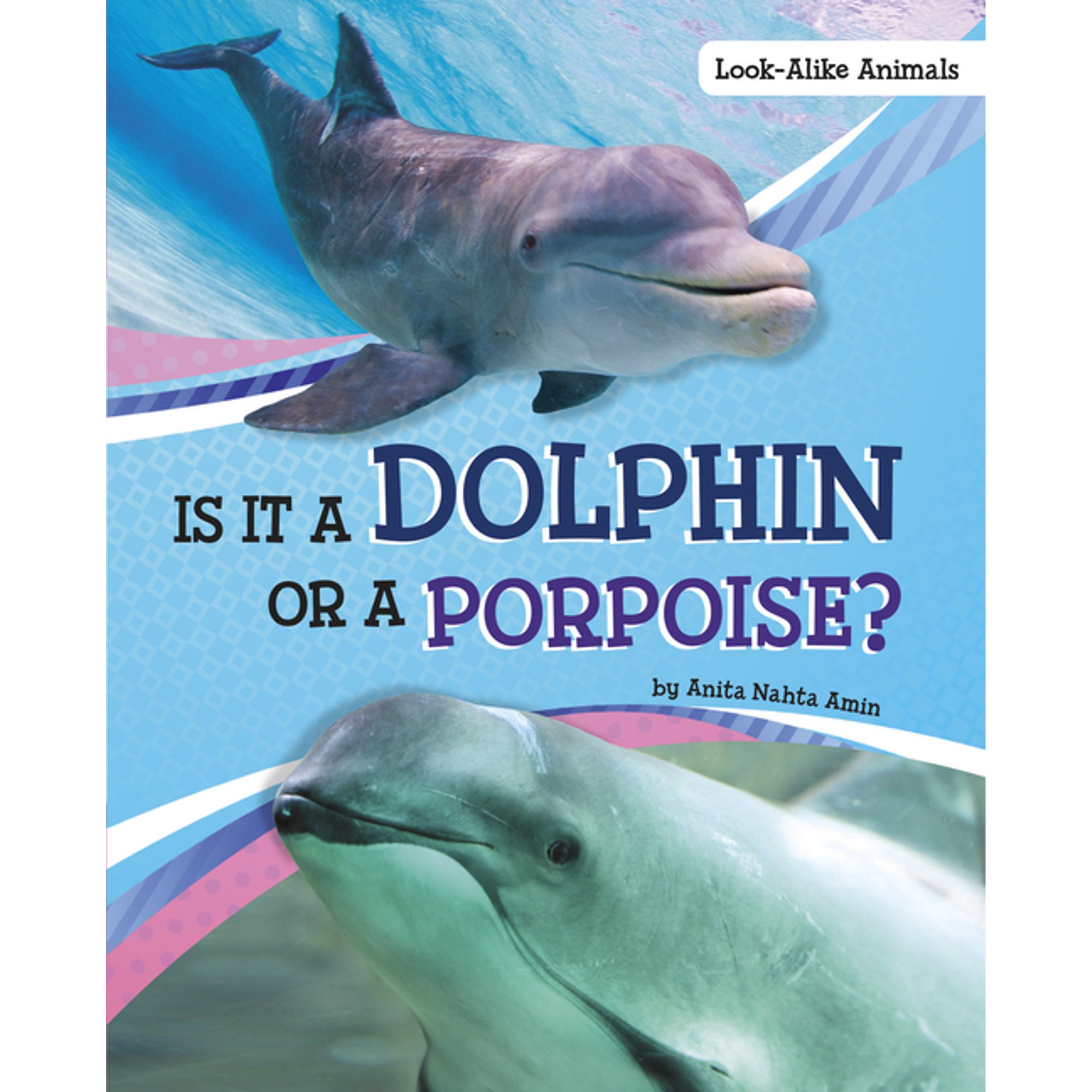 Porpoise Animal