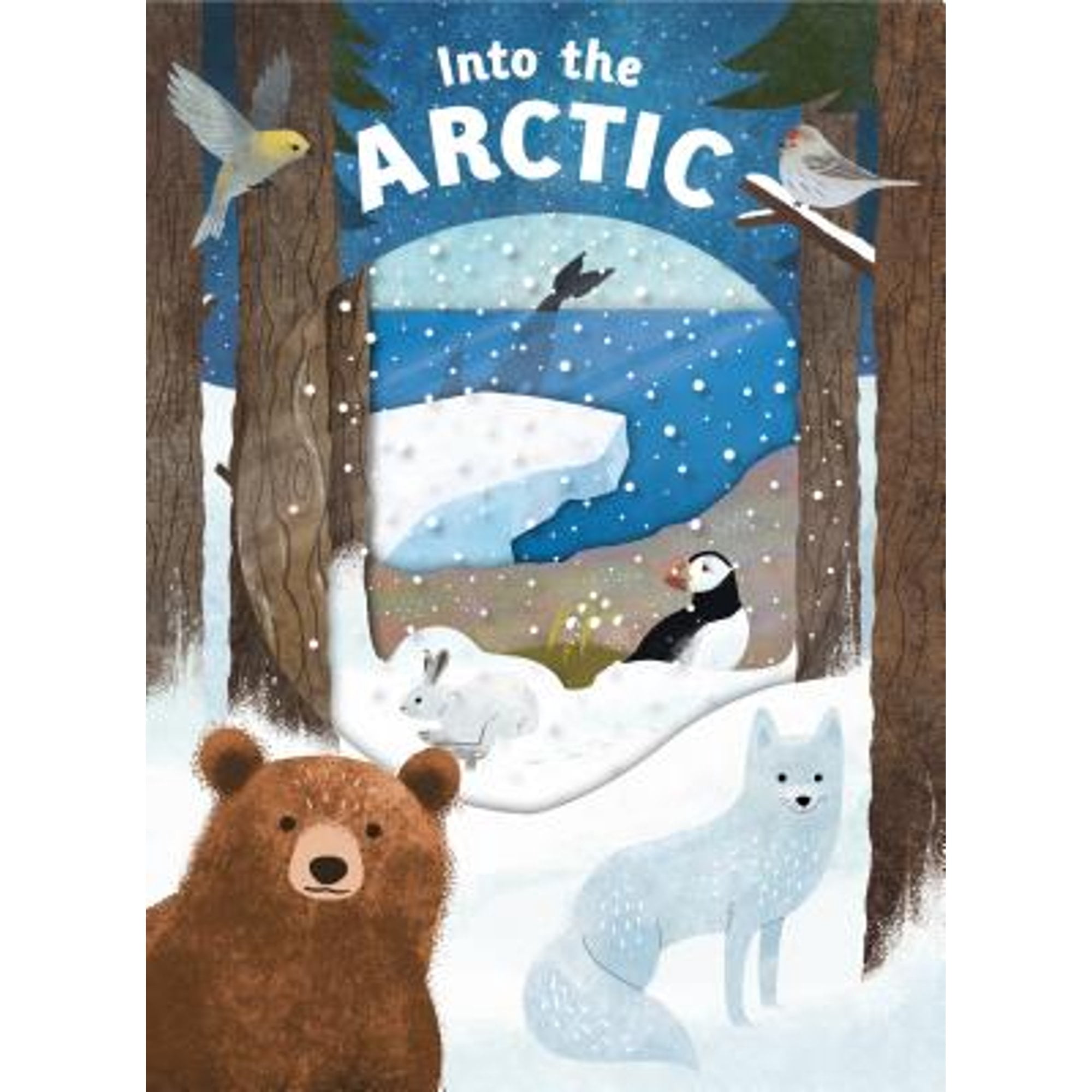 Pre-Owned Look Closer: Into the Arctic: [With Transparent Pages] Board ...