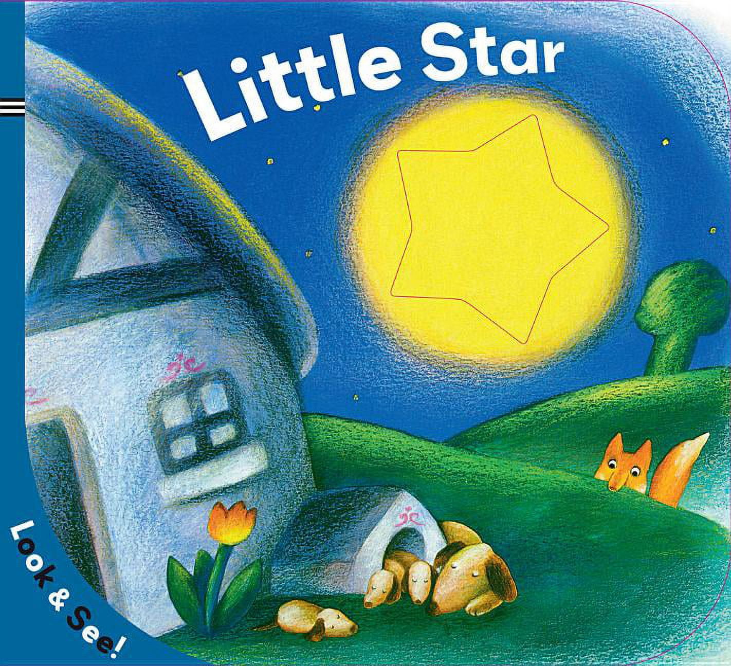 Look & See!: Little Star (Other) - Walmart.com