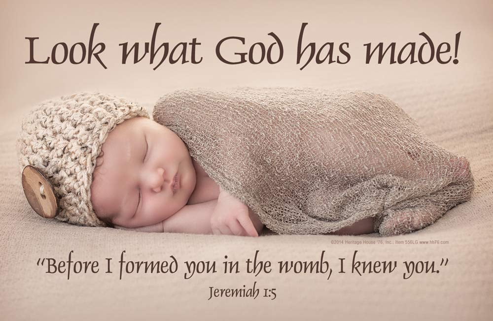 Look What God Has Made Pro-Life Poster (Pack of 10) - Walmart.com