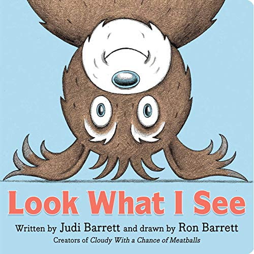 Pre-Owned Look What I See (Board book) 1534430733 9781534430730 ...