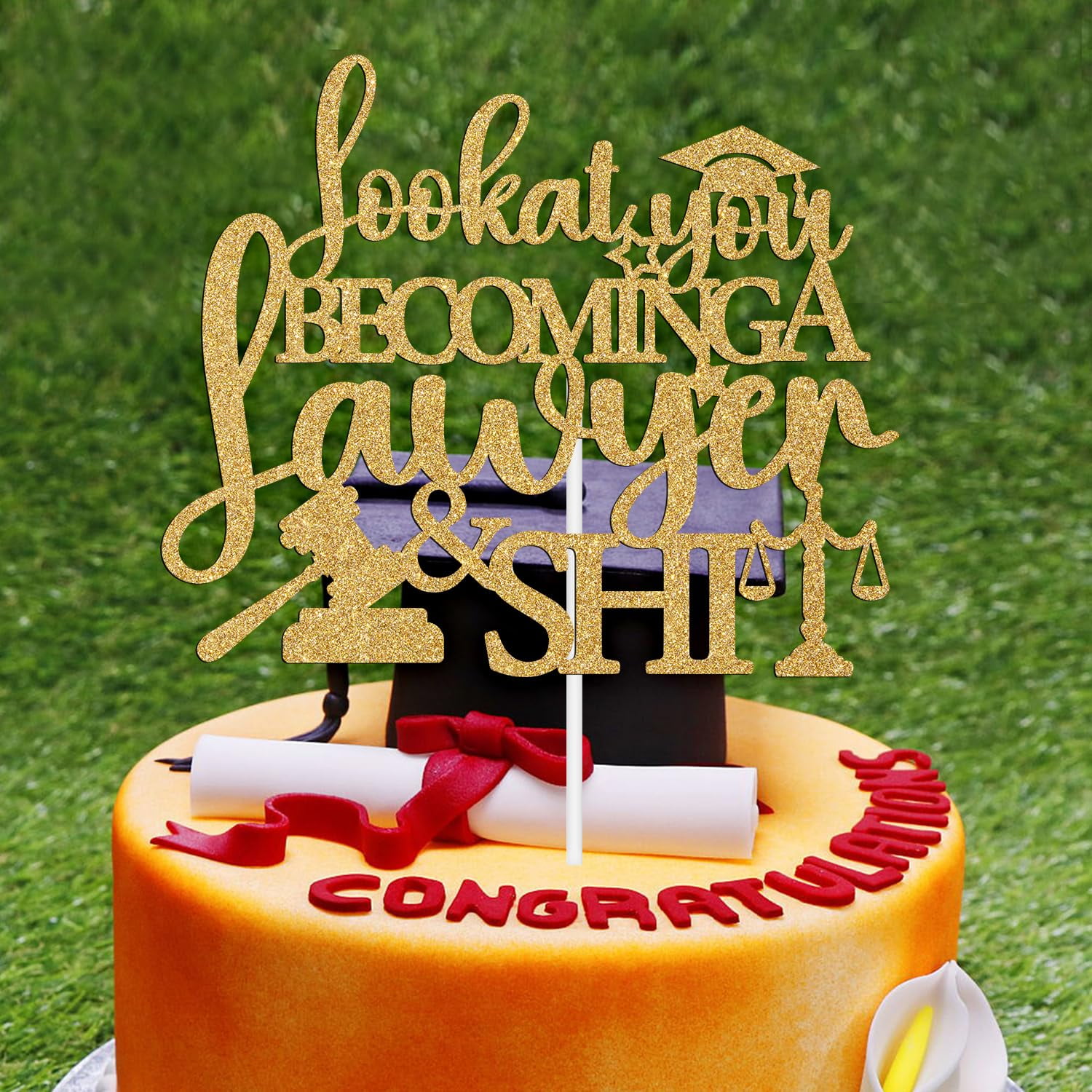 Look at You AJH3 Becoming A Lawyer Cake Topper, Congrats Lawyer/Future ...