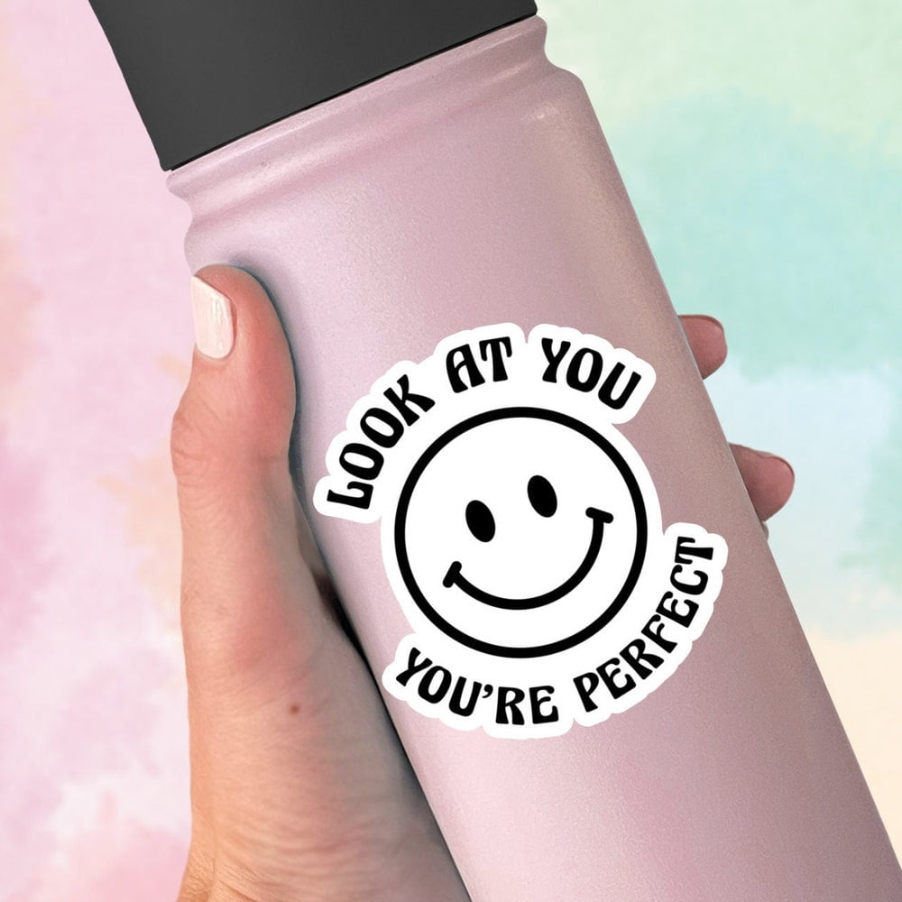 Look At You, You'Re Perfect Sticker, Retro, Self Care, Motivational ...