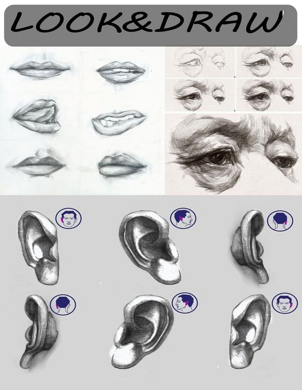 How To Draw Eyes Nose Mouth And Ears