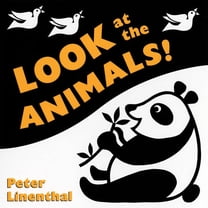 Look Look (Board Book) - Walmart.com